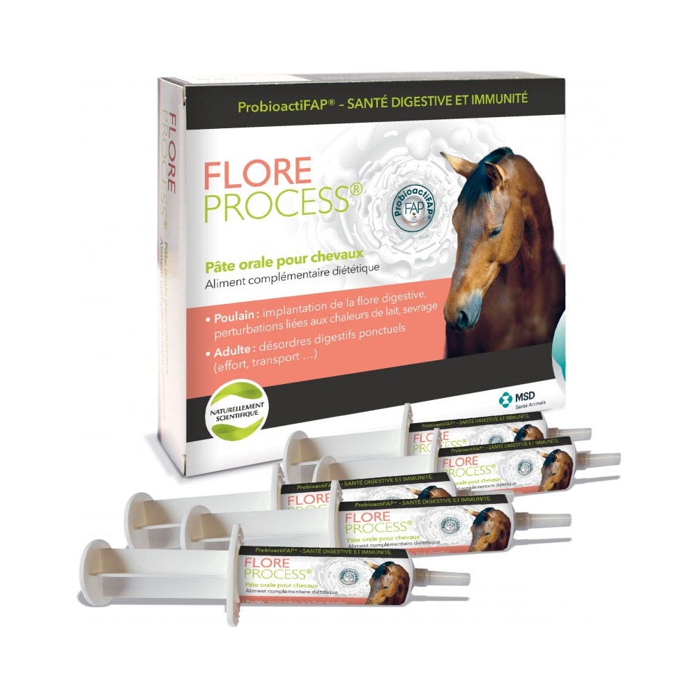 MSD Flore process Oral paste Digestive health and Immunity For Horses ...