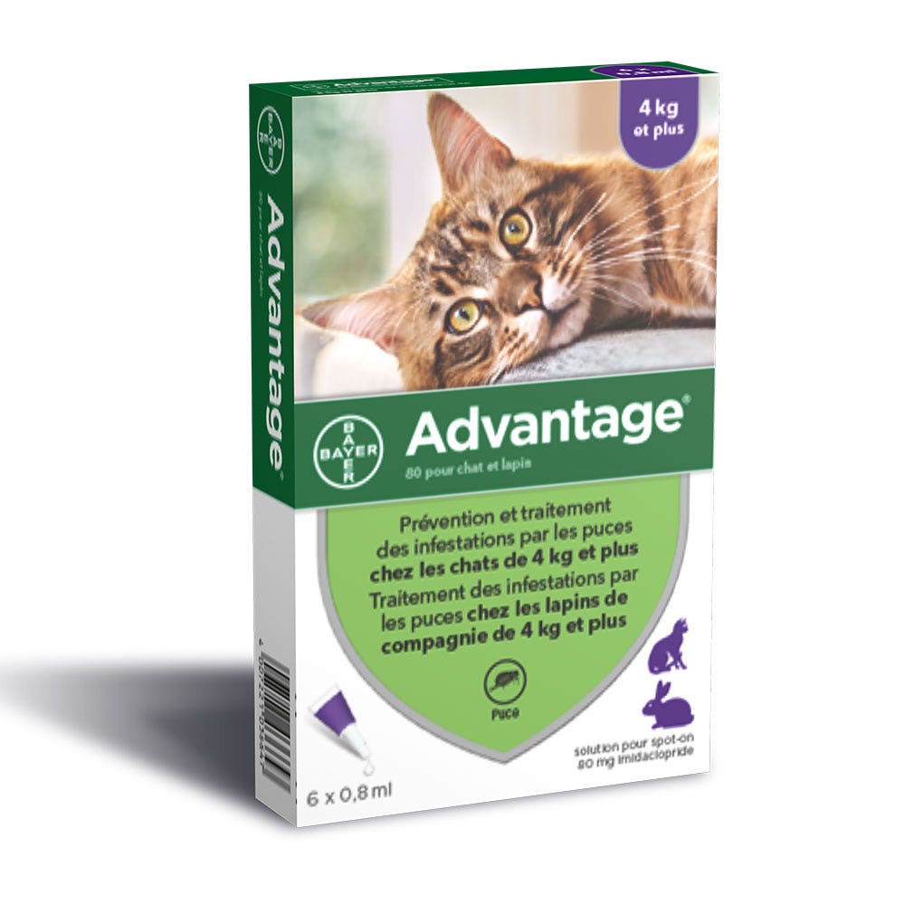 Advantage 80 For Large Cats and Rabbits Plus 4 Kilos 6x0.8ml - Easypara
